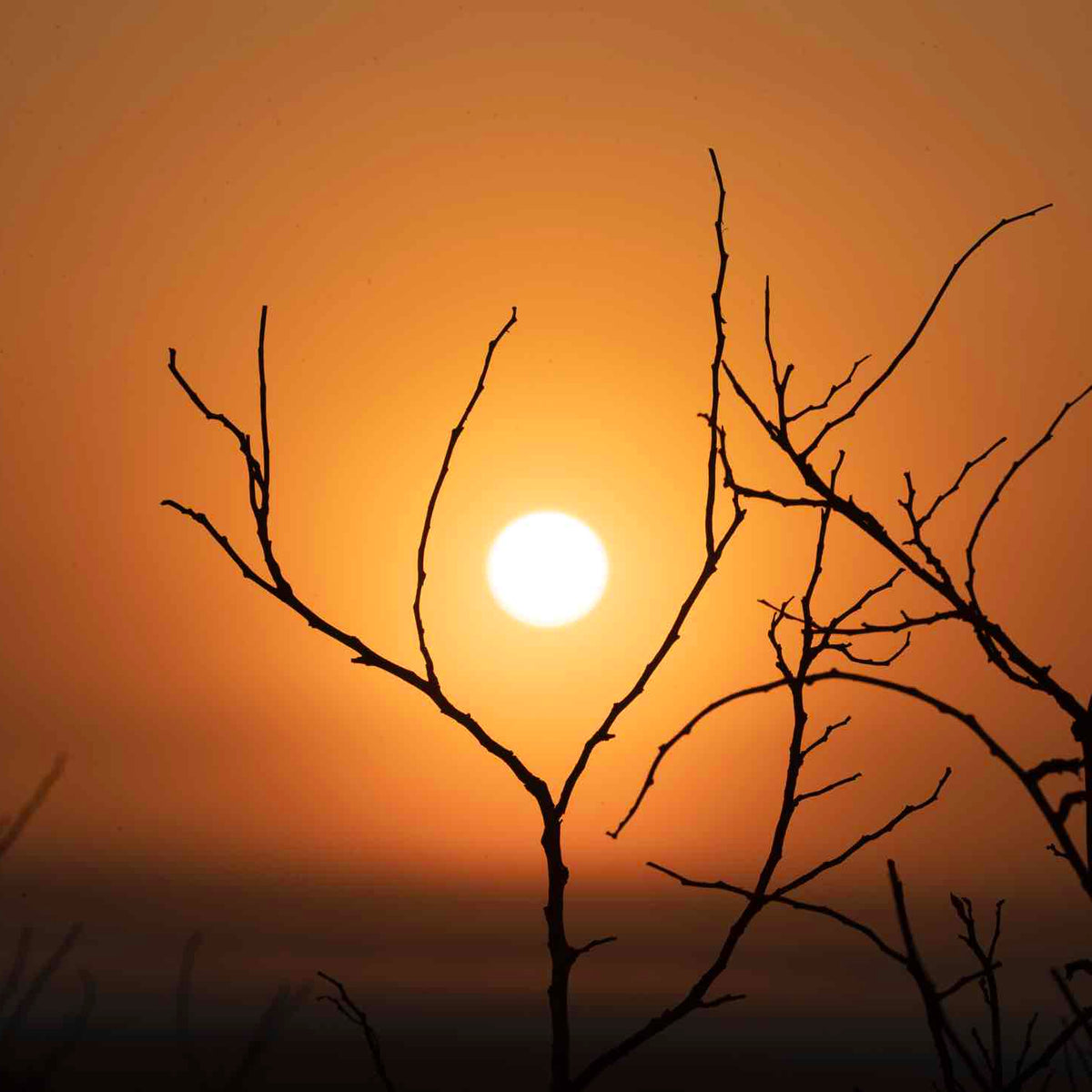 Sunrise Broome Western Australia A59 – Aeroture